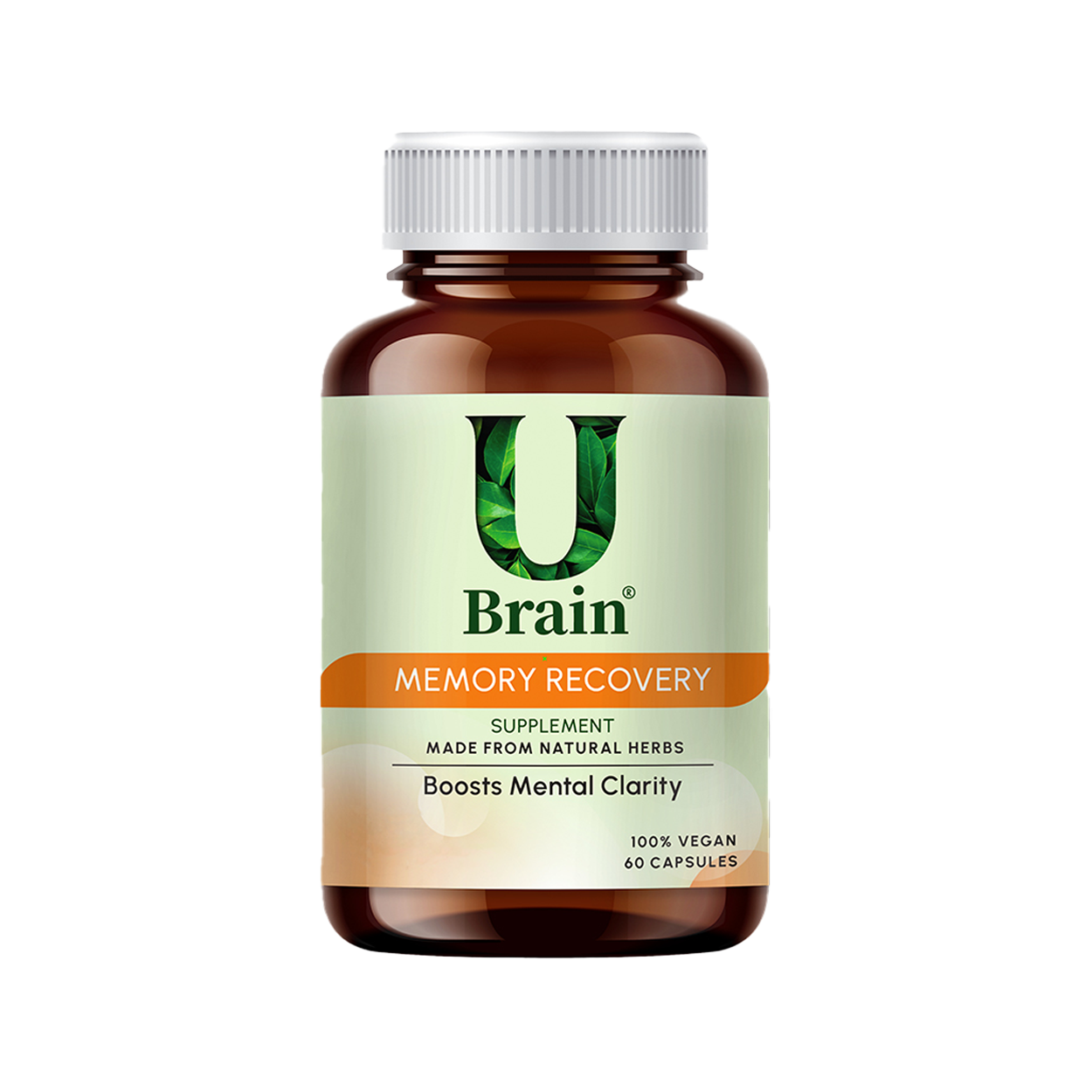 UBrain Memory Recovery - Ubrain