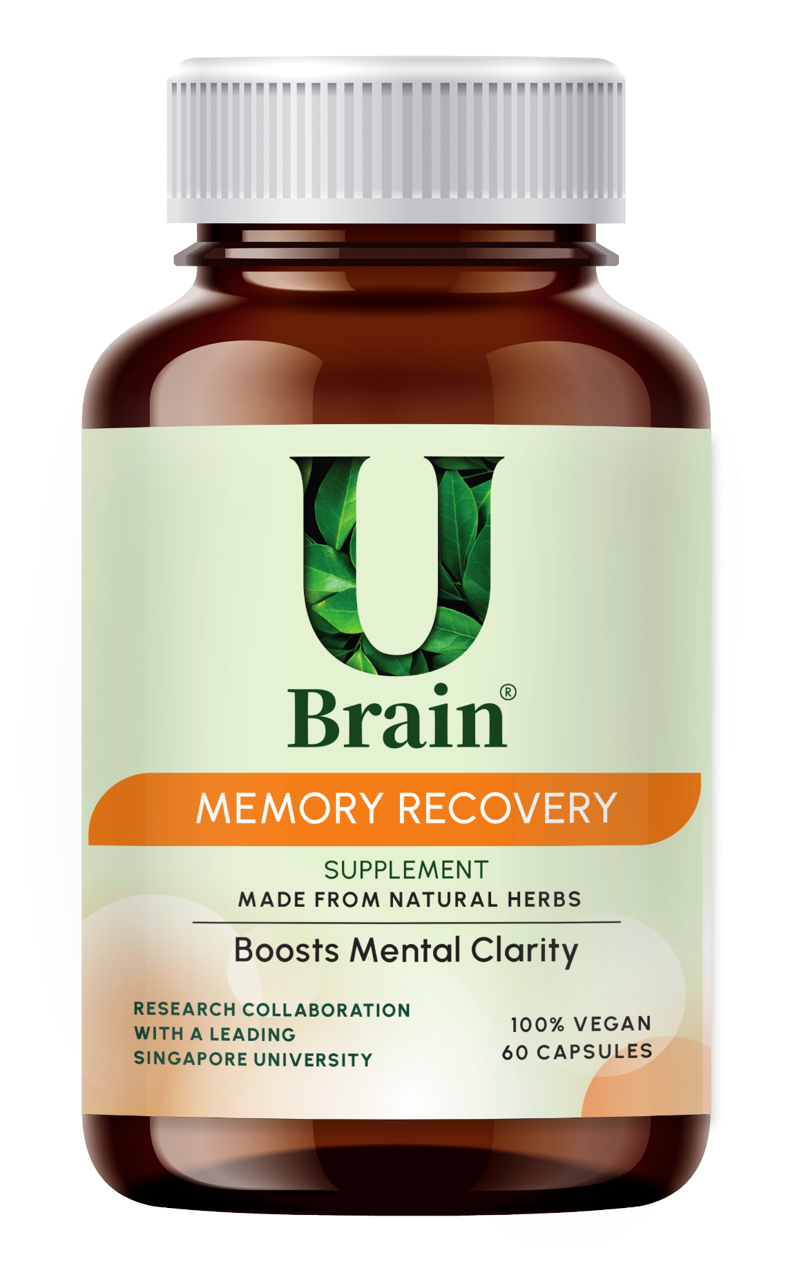 UBrain Memory Recovery Ubrain